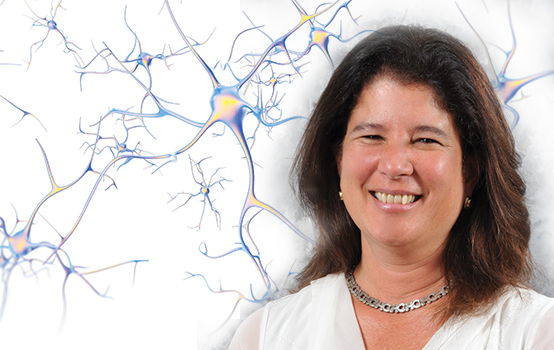 What we know (and think we know) about the learning brain: An interview ...